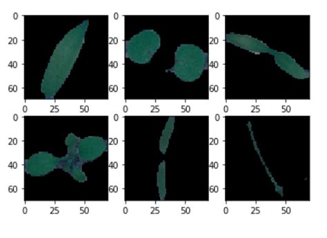 Plant Seedlings Classification Using Cnn Analytics Vidhya