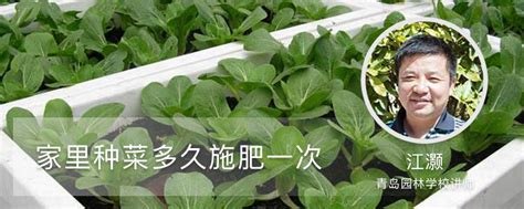 家里种菜多久施肥一次 花百科