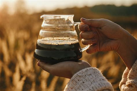 여행 중 야외에서 커피를 양조하는 대체 커피 시골 허브의 햇볕이 잘 드는 따뜻한 빛을 배경으로 유리 플라스크에 신선한 뜨거운 커피를 들고있는 여행자 대기 소박한 조용한 순간