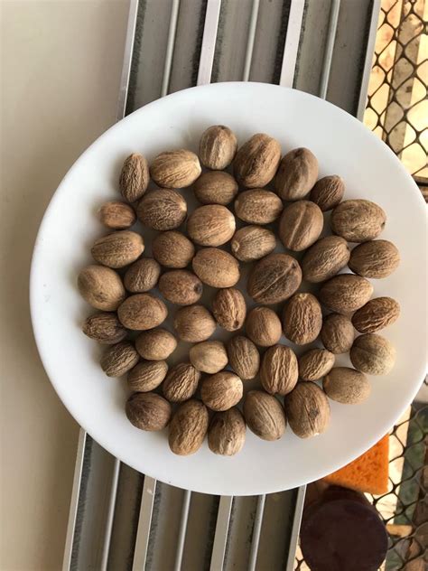 Nutmeg With And Without Shell