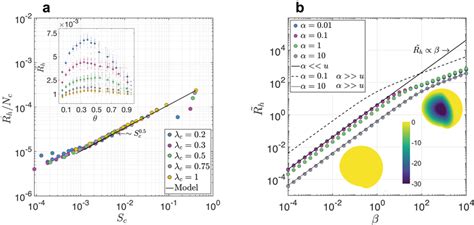 Heterotrophic Respiration From Pore To Continuous Scale A Simulated
