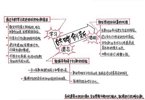 《战略创新者的十大法则》读后感读书笔记