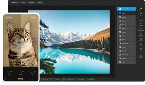 無料で使える！写真編集ソフトおすすめ6選