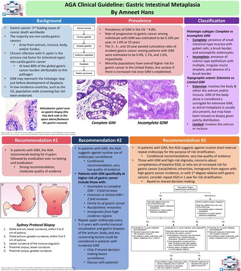 Intestinal Metaplasia Stages Symptoms Treatment What It 58 Off Intestinal Metaplasia Stages Symptoms Treatment What It 58 Off
