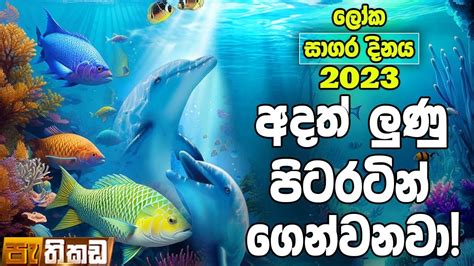 මව් කිරි වලත් ක්ෂුද්‍ර ප්ලාස්ටික් Youtube