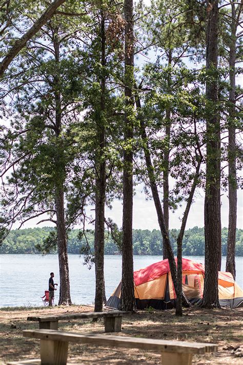 How To Get The Most Out Of Your Trip To Lagrange Visit Lagrange Georgia