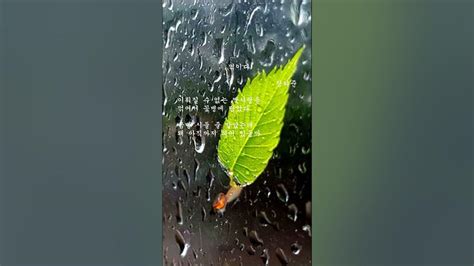 꺾이다 장하준 Youtube