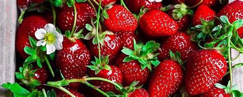 КЛУБНИКА ИЗ КИРГИЗИИ Пермь Березники Соликамск Сезонные ягоды 2025 ВКонтакте