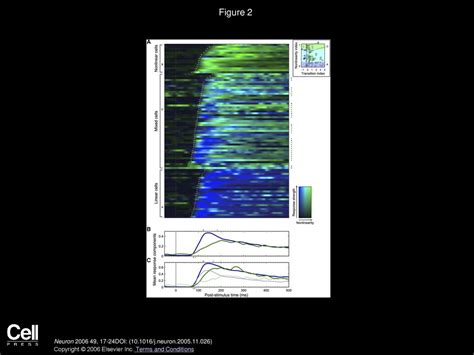 Dynamic Shape Synthesis In Posterior Inferotemporal Cortex Ppt Download