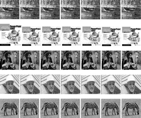 denoising results from dataset set14 [18] images corrupted by additive