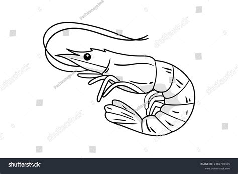 Shrimp Clipart Black And White Shrimps Vectoren Illustraties En