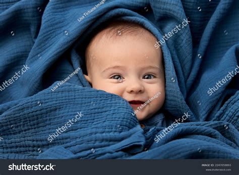 4189045 아기 소 이미지 스톡 사진 및 벡터 Shutterstock 4189045 아기 소 이미지 스톡 사진 및 벡터 Shutterstock