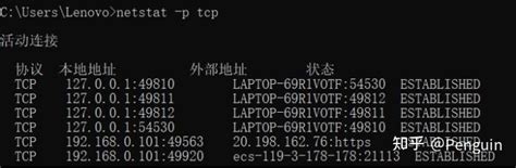 计算机网络netstat命令实验报告 知乎