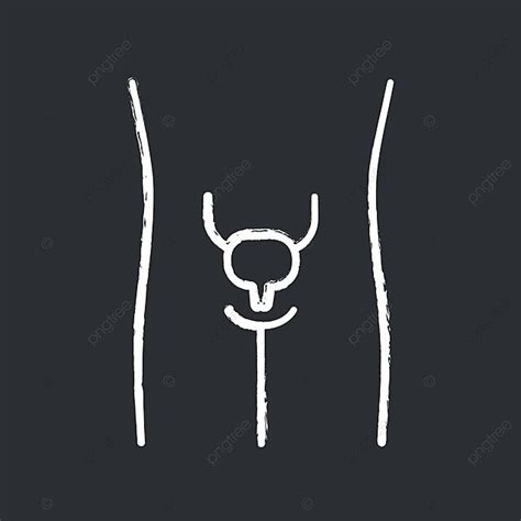 Healthy Urinary Bladder Icon For Wellness In Vector Illustration Vector