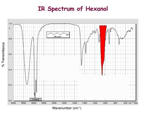 Ppt Lecture 2 Powerpoint Presentation Free Download Id4692281