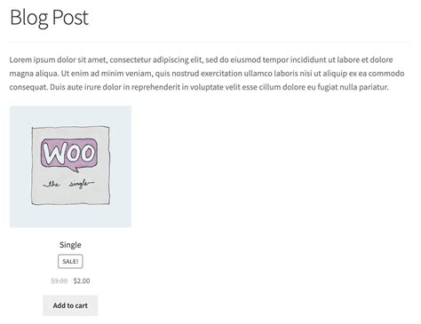 24 Woocommerce Shortcodes Type Uses And Examples 2025