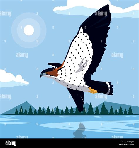 Imposing Hawk Bird Flying In The Landscape Vector Illustration Design