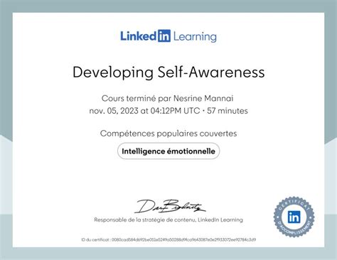 Nesrine Mannai On Linkedin Certificate Of Completion