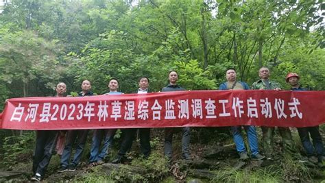 部门信息县林业局启动2023年林草湿资源调查监测工作 白河圈子