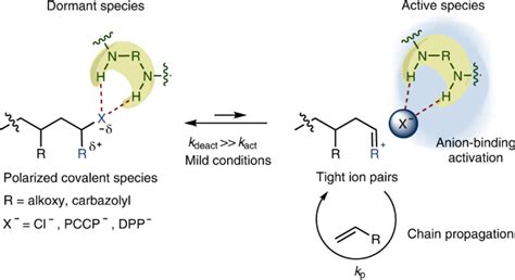 Anion Binding Catalysis Enables Living Cationic Polymerizationnature
