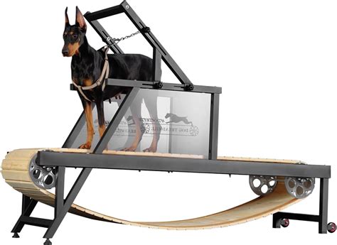 Treadmill Dog Slat At Andrea Rumfelt Blog