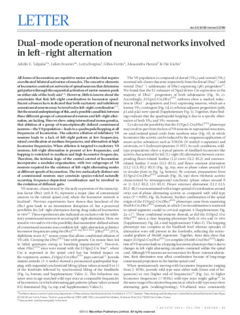 Pdf Dual Mode Operation Of Neuronal Networks Involved In Leftright Alternation Adolfo