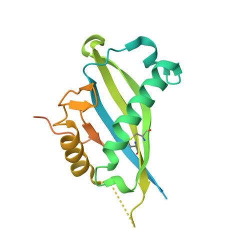 Gene Q8wxi7 Protein Muc16 Overview Cansarai