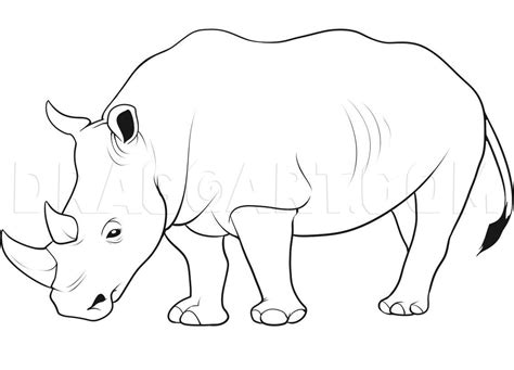 How To Draw A Rhino Step By Step Drawing Guide By Dawn Artofit