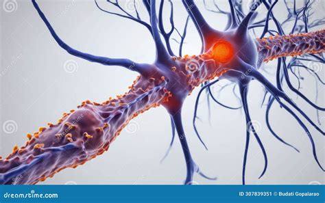 Neural Network In Action A Neuron Firing Illustrating The Complexity Of The Human Brain Stock