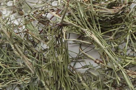 Wen Jing Wenjing Wen Jing Tang Wen Jing Pian For Sale Native Chinese