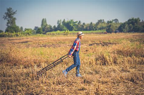 주간 유기농 농장의 논에 더미에 건초 더미를 청소하는 데 도움이되는 밀짚 베일을 작업하는 아이들 12 13세에 대한 스톡 사진 및 기타 이미지 Istock