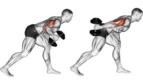 Ganzkörpertraining Mit Kurzhanteln Die 7 Besten Übungen