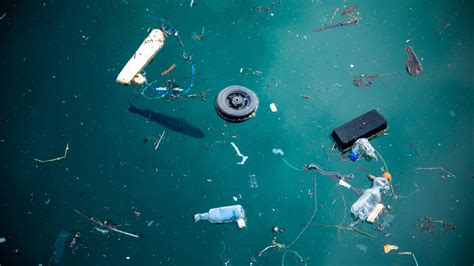 Mit Tech Review マイクロプラスチックが海鳥の腸内細菌に影響、人体の場合は？