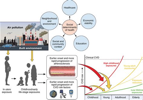 Air Pollution Built Environment And Early Cardiovascular Disease