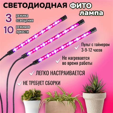 Фитолампа полного спектра для растений рассады цветов Фитосветильник на прищепке 3 ветки