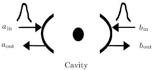 A Schematic Representation Of The Input And Output Fields For A Download Scientific Diagram