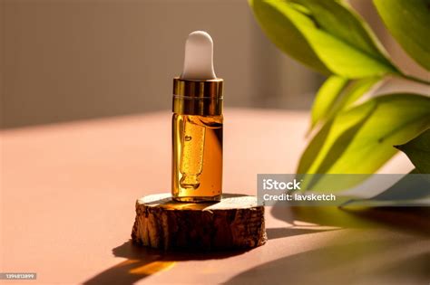 나무 연단에 화장품 유리 점적기 병 부드러운 초점의 녹색 유칼립투스 자연 미용 제품 프리젠 테이션 갈색에 대한 스톡 사진 및 기타 이미지 Istock