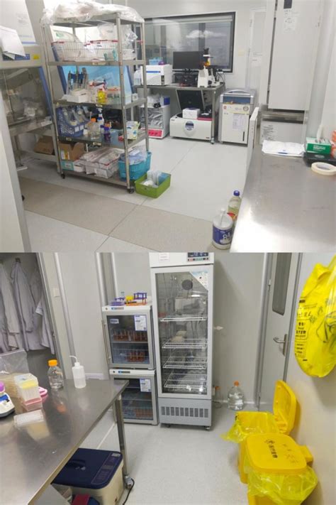 Team Sustech Shenzhen Safety