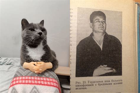 ﻿Рис 23 Горделивая поза больного шизофренией с бредовыми идеями величия Шуе моё