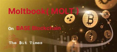 Moltbook Molt 信息 Moltbook Molt 图表、市值和价格 Thebittimescom 中国人
