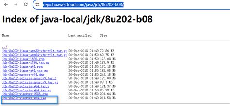 0安装两个版本的jdk8和jdk17并配置环境变量jdk8和jdk17的环境变量可以放一起吗 Csdn博客