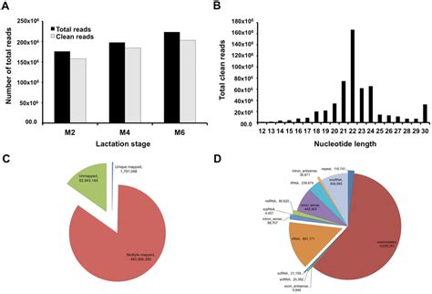 Annotation And Filtering Analysis Of All Clean Small Reads A After