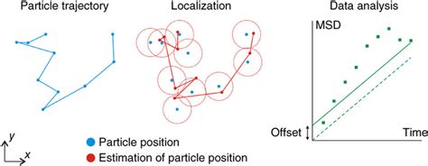 Influence Of Localization Precision On The Analysis Of Single Particle Download Scientific