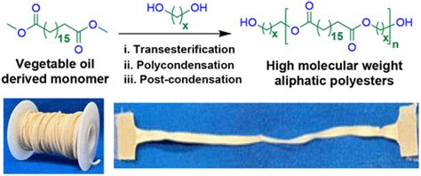 High Molecular Weight Biobased Long Chain Aliphatic Polyesters With Degradability Insights Into