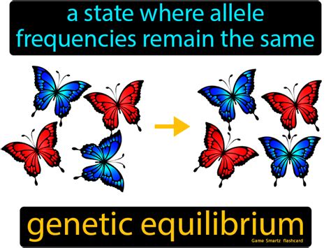 Genetic Equilibrium Easy Science