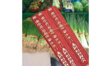 쪽파 나만 알고 싶은 순위 스마트한 선택 더이상 호구로 살고 싶지 않아 직접 만든 상품비교 블로그