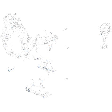 Nphp1 Pronephros Daniocell