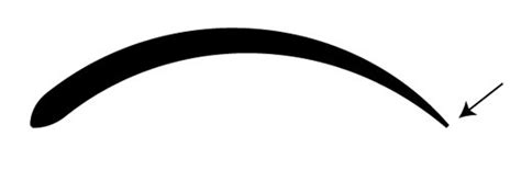 Mastering Variable Width Strokes In Illustrator Cs5 Design Shack