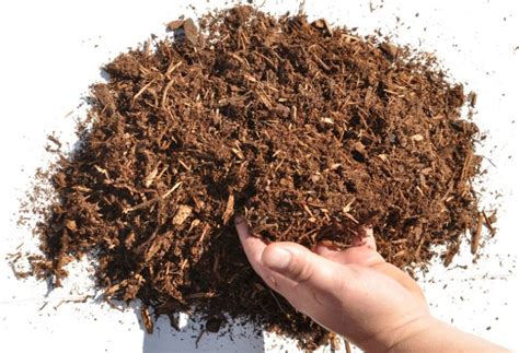 Pine Mulch Avedisian East