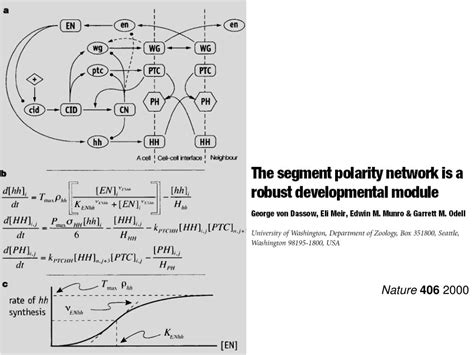Ppt Discrete Models Of Biochemical Networks Algebraic Biology 2007
